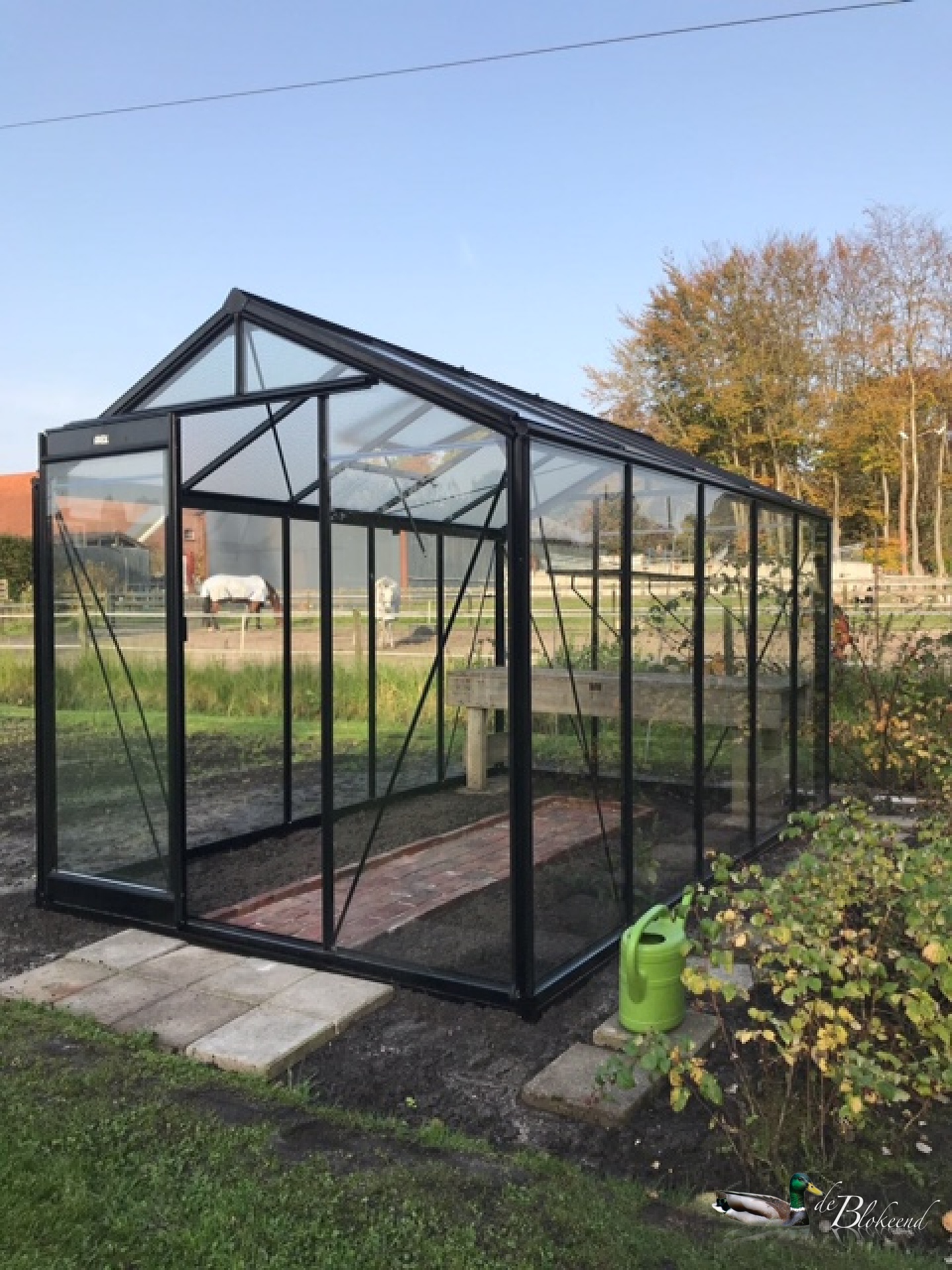 ACD Tuinkassen in Groningen - De Blokeend